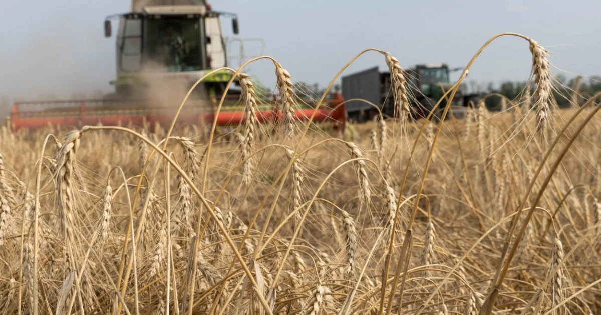 Od dziś nie można wwieźć niektórych produktów rolnych z Ukrainy - Limanowa.in