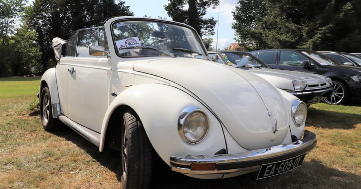 Ile kosztuje stary Volkswagen Garbus cabrio? - Limanowa.in