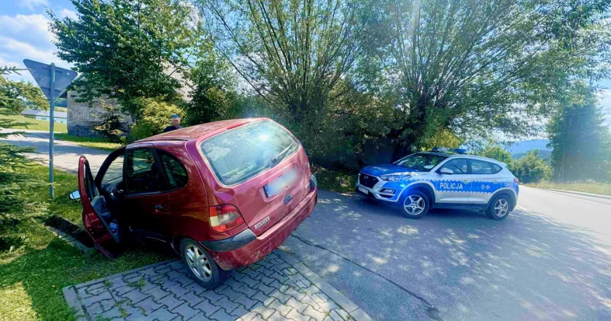 Wilkowisko. Pijany kierowca bez prawa jazdy wjechał do rowu - Limanowa.in